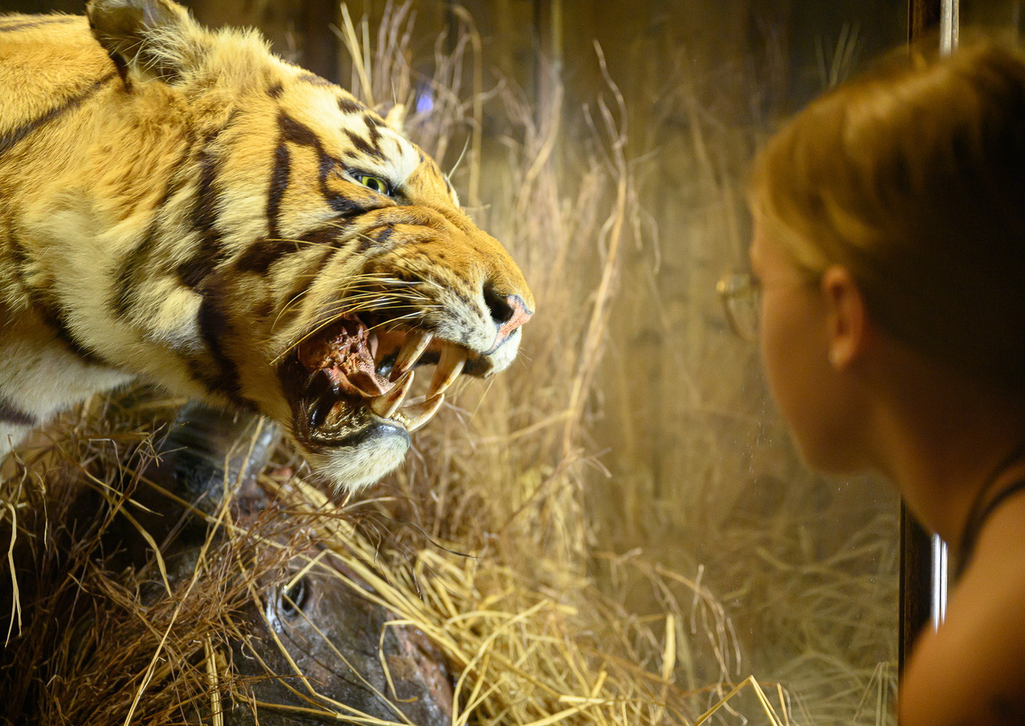 Visite guidée "Les animaux de Ferdinand" | Domaine Royal de Randan | La ...